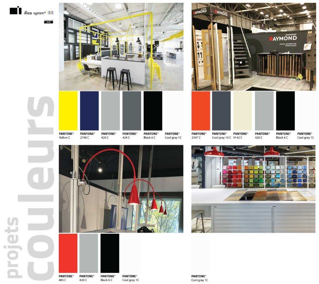 COLORISATION CHEZ RHO — RHO INC.